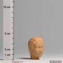 Your head at a scale of 1 : 6